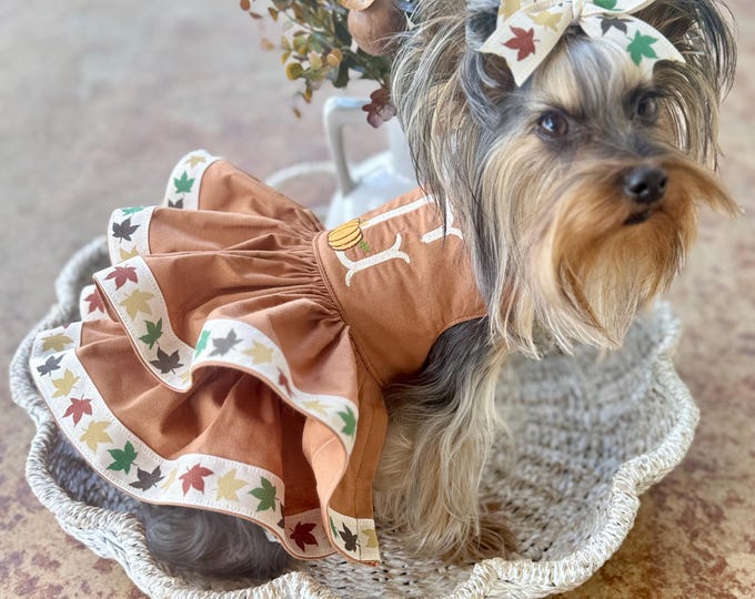 Pumpkin and Falling Leaves Fall Autumn Personalized Dog Dress ...