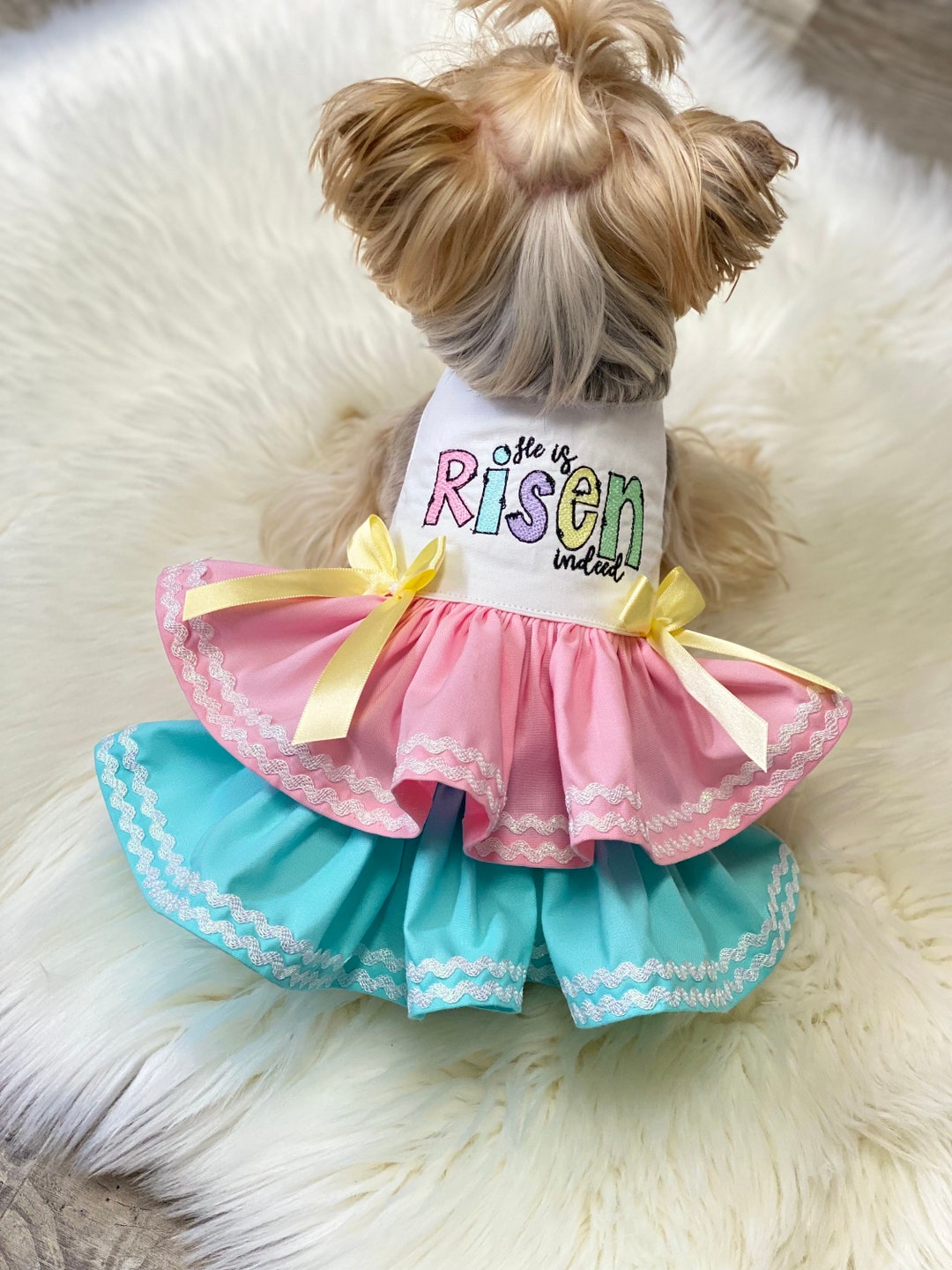 He is Risen Easter Religous Dog Dress, Customizable to Your Pets ...