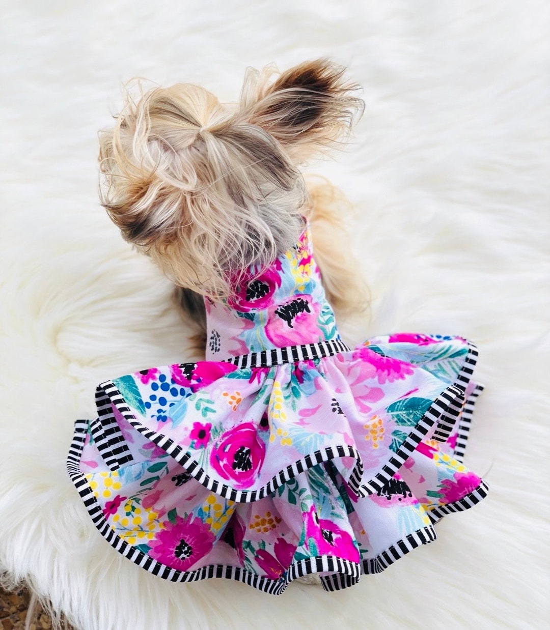 Fun and Bright Floral Dog Dress, Customizable to Your Pets Measurements ...