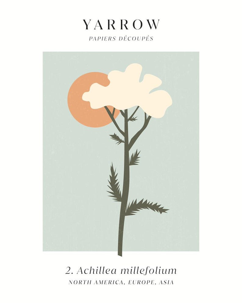 YARROW | Matisse Cut Paper Print | California Native Botanical ...