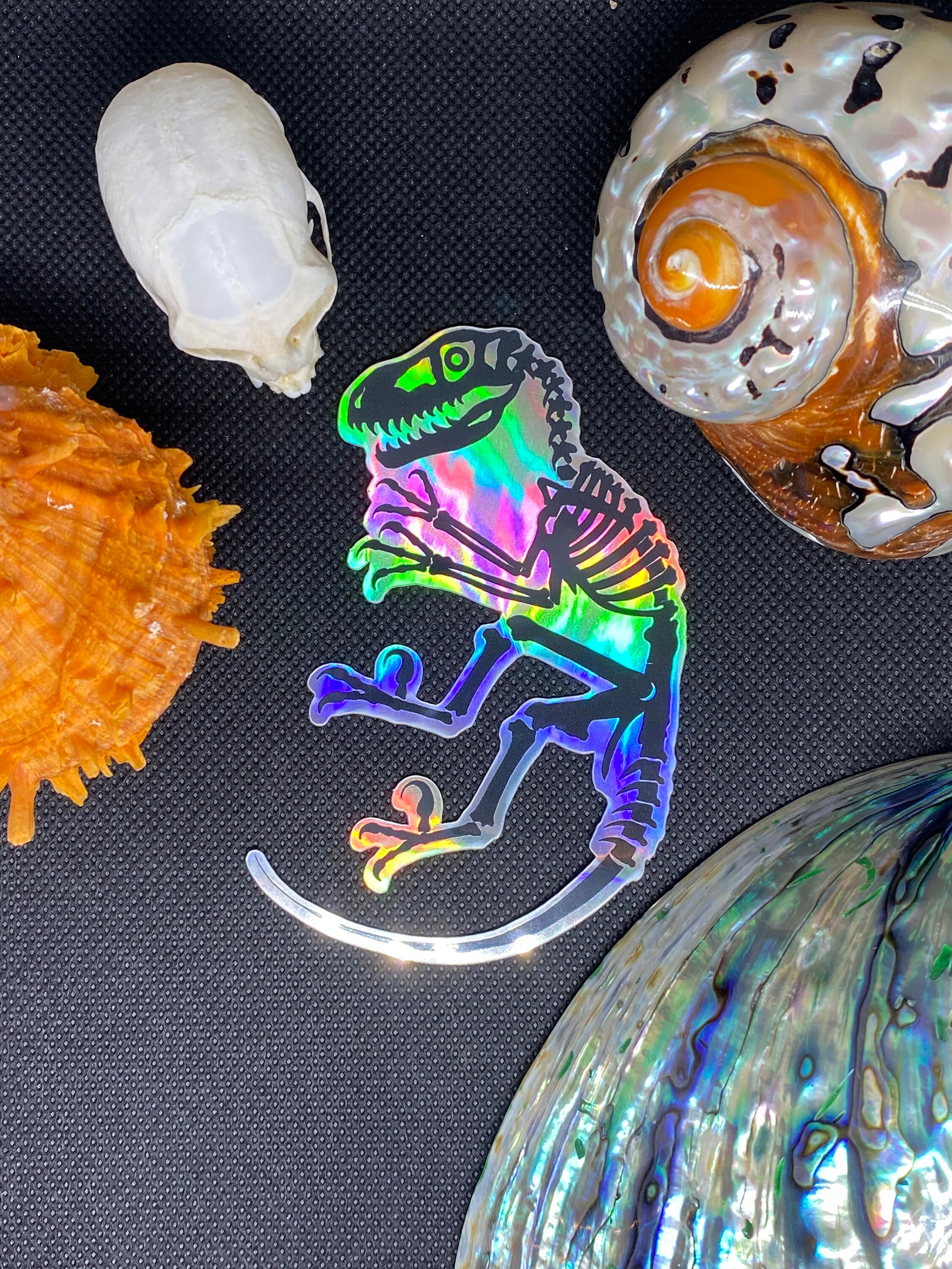 Velociraptor Skeleton Holographic Sticker Dinosaur Sticker - Etsy