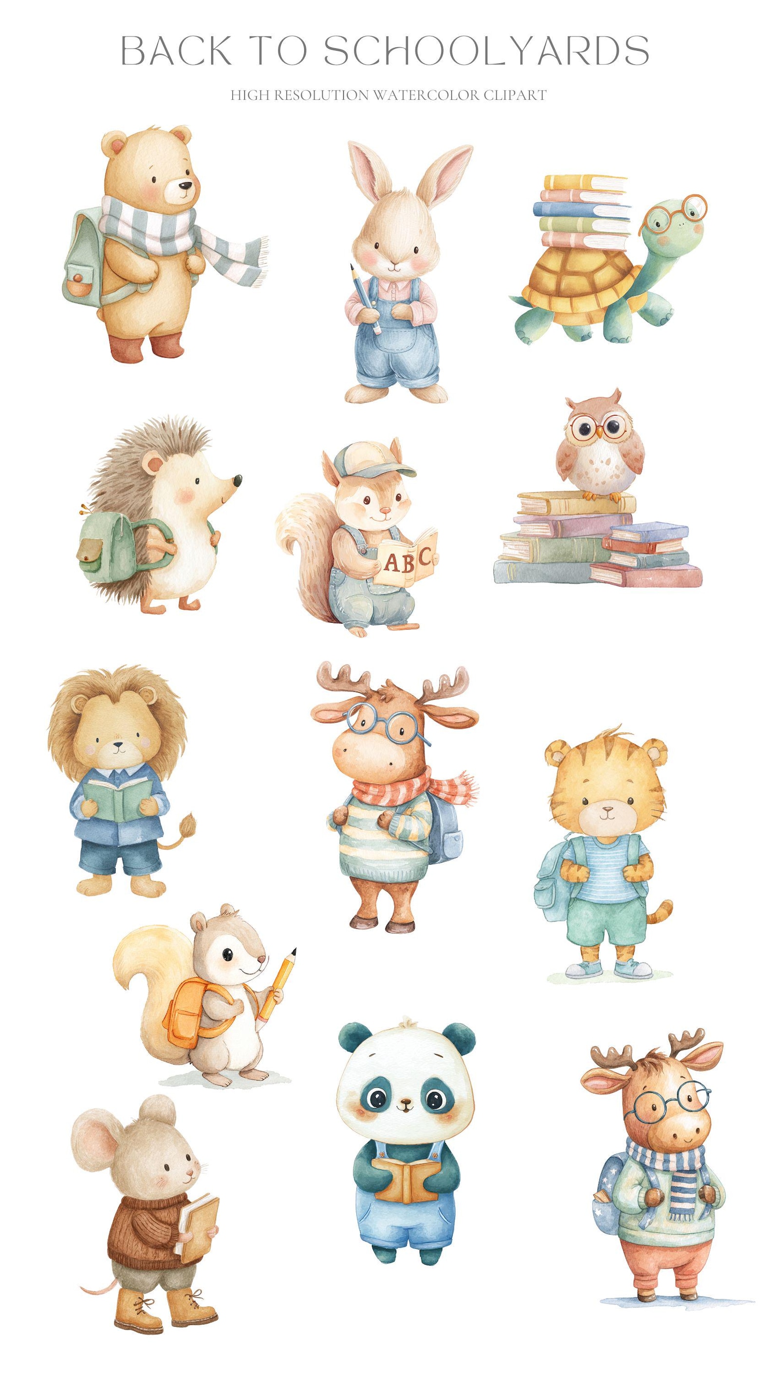 Back to School Animal Clipart: Watercolor Nursery PNG Bundle ...