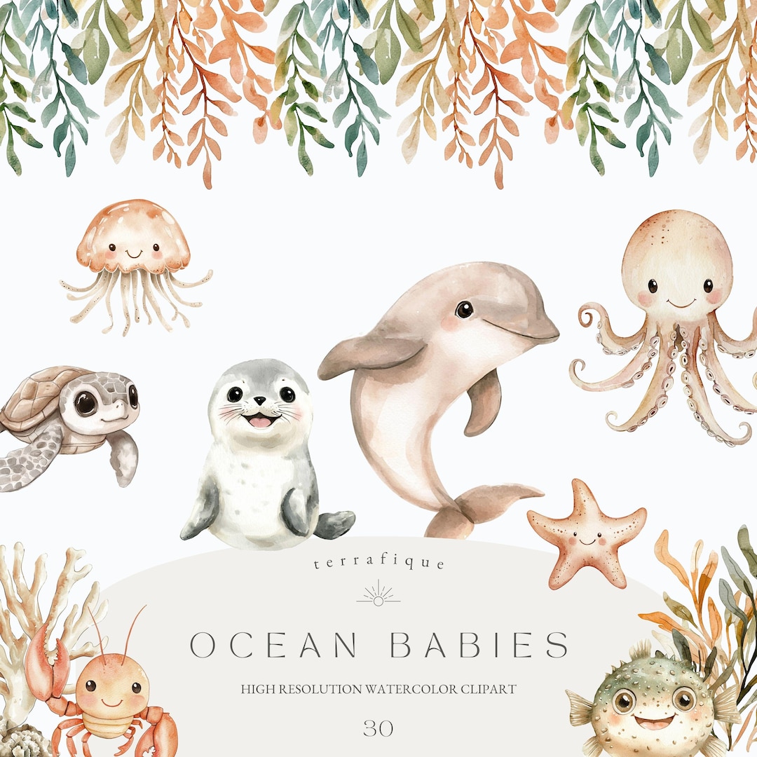Cute Baby Sea Animals Clipart Underwater Ocean Sealife Whimsical ...