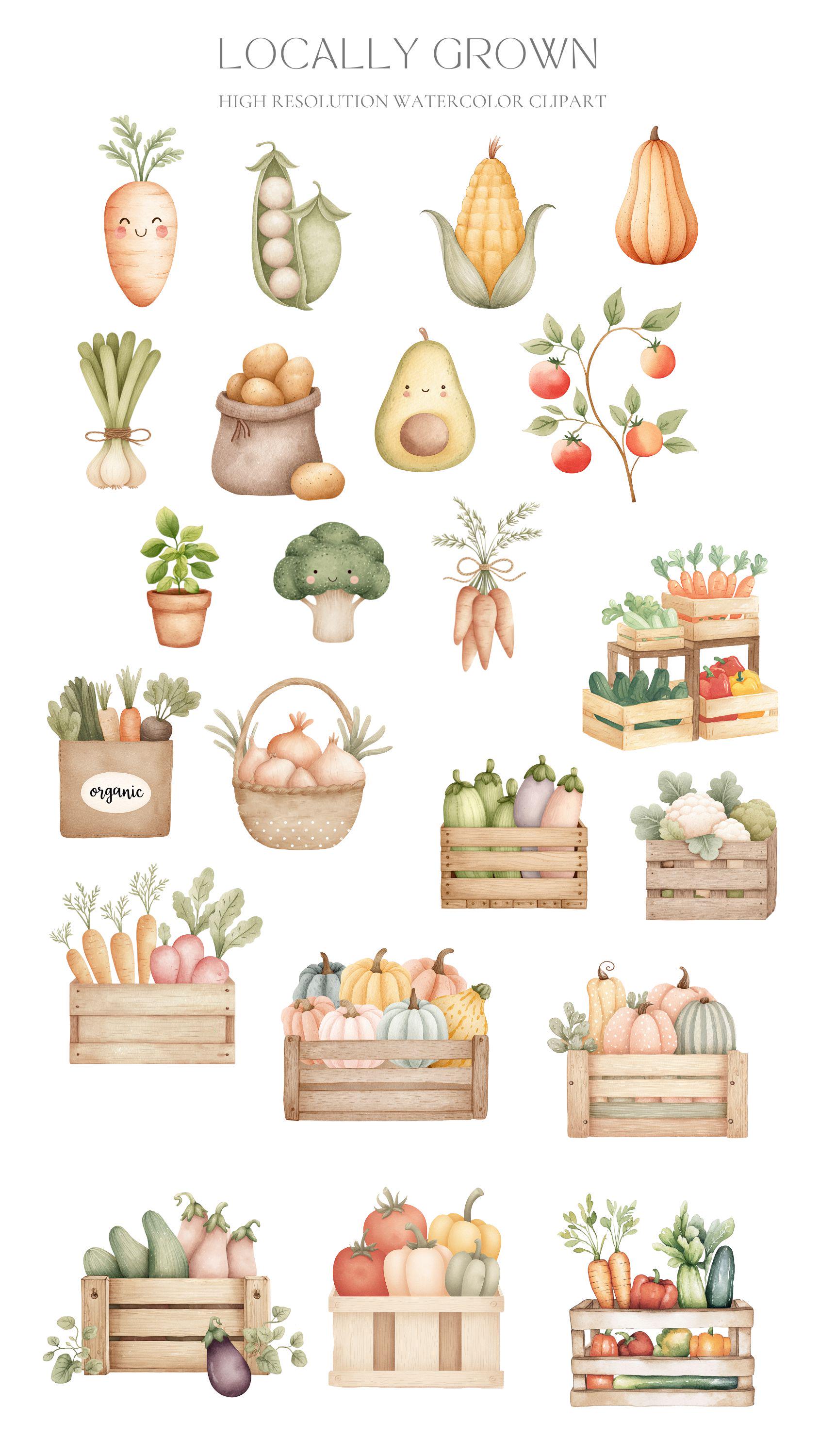 Farmers Market Clipart Bundle, Watercolor Fruit & Vegetable Stands ...