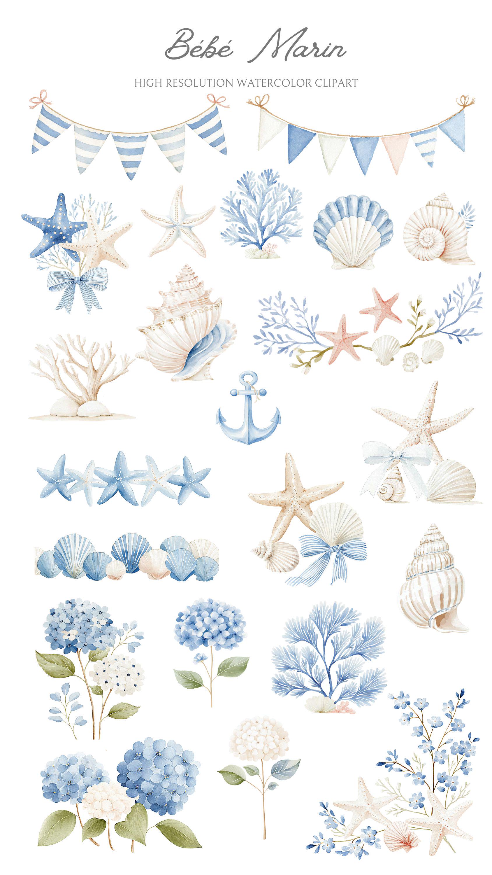 Coastal Nursery Clipart Watercolor Nautical Baby Shower Sea Graphics ...