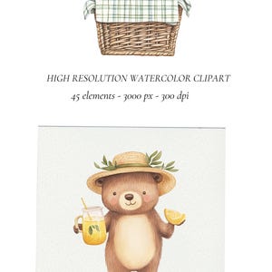 Woodland Picnic Clipart: Watercolor Forest Animals (digital Download ...