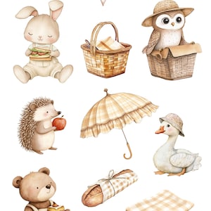 Woodland Picnic Clipart: Watercolor Forest Animals (digital Download ...