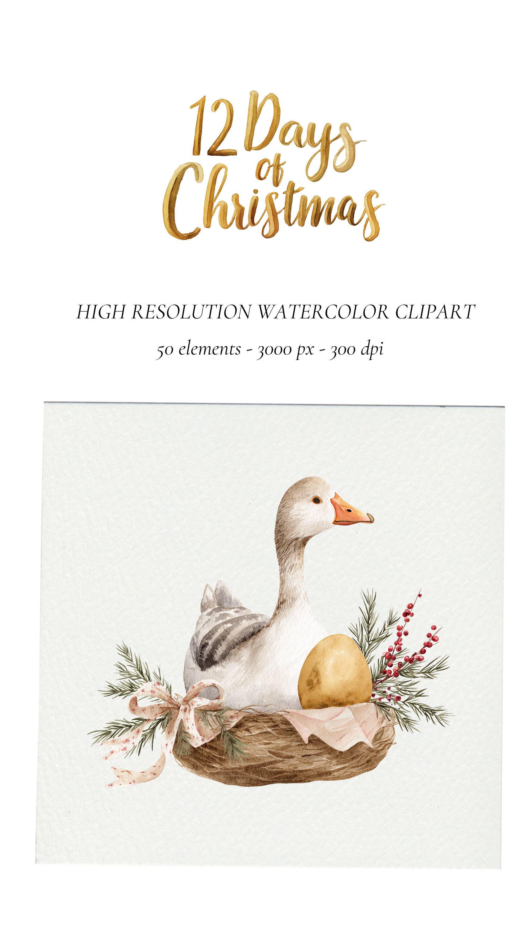Twelve Days of Christmas Clipart: Vintage Holiday Card Graphics ...