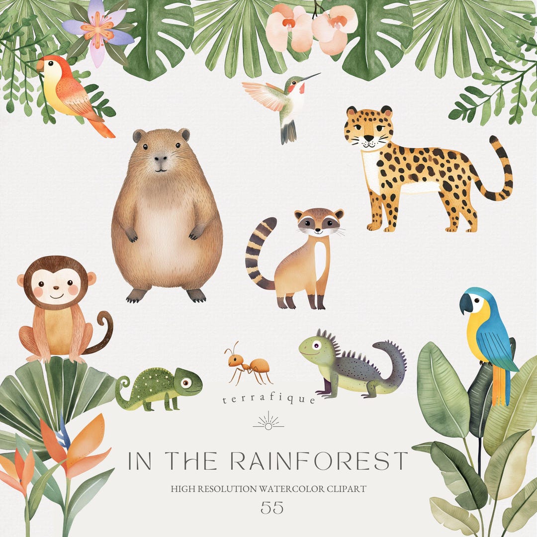 Rainforest Animals Clipart: Watercolor Jungle Set (PNG, Commercial Use ...