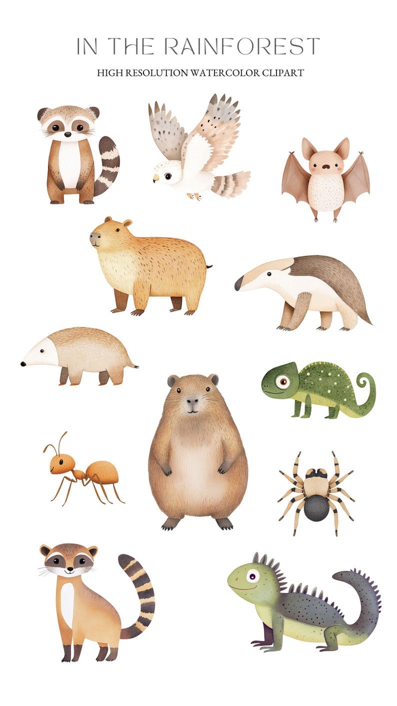 Rainforest Animals Clipart: Watercolor Jungle Set (PNG, Commercial Use ...