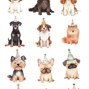 Watercolor Dog Breeds Clipart: Birthday Party PNG Bundle (commercial ...