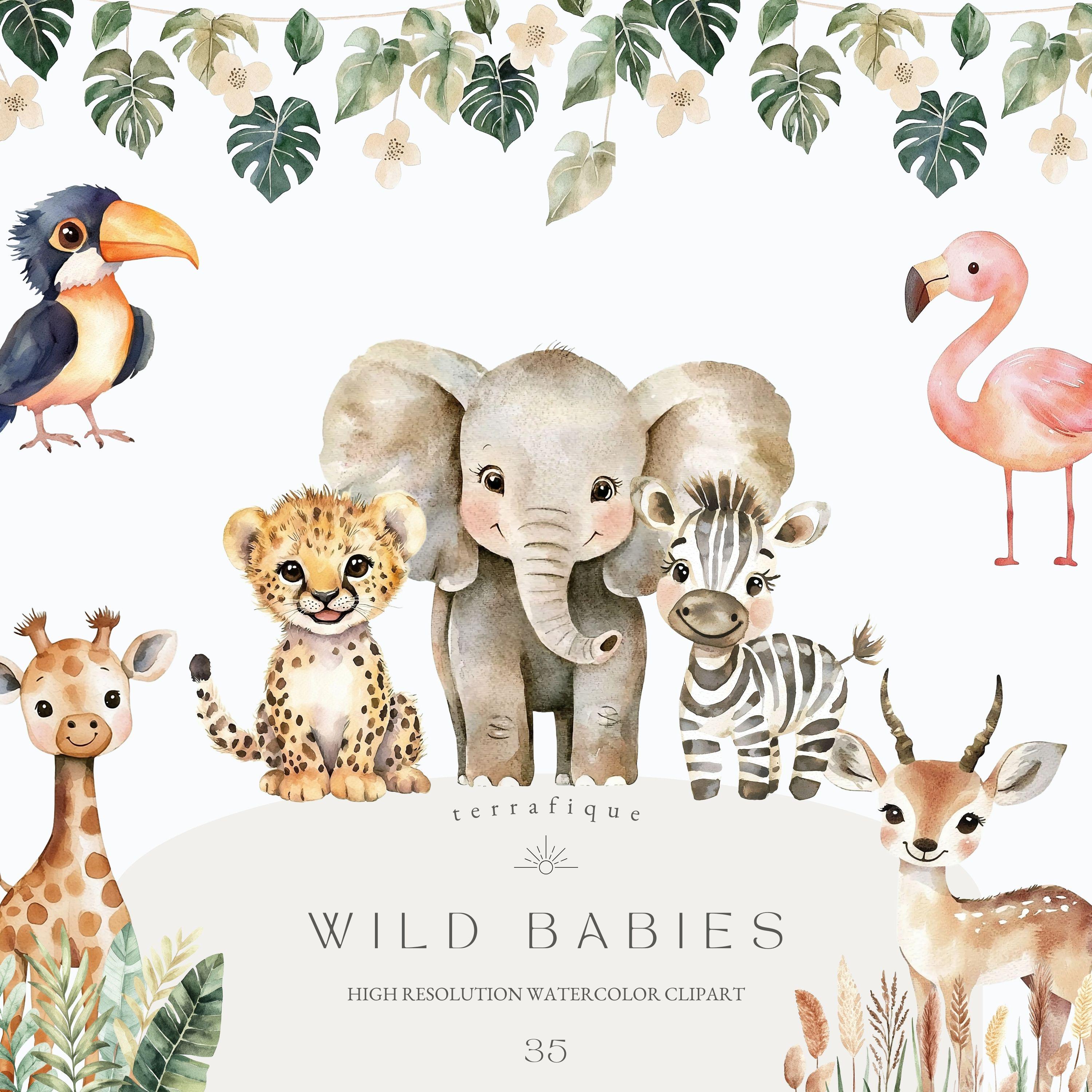 Watercolor Baby Animals Clipart Bundle: Woodland, Safari, Farm, Ocean ...
