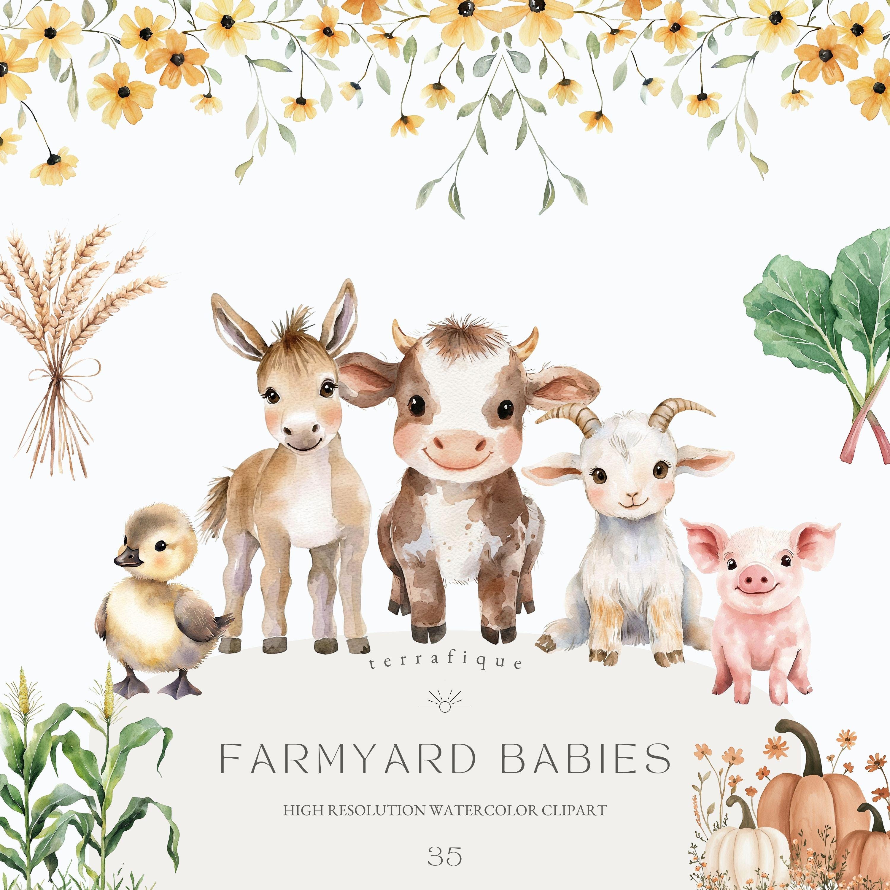 Watercolor Baby Animals Clipart Bundle: Woodland, Safari, Farm, Ocean ...