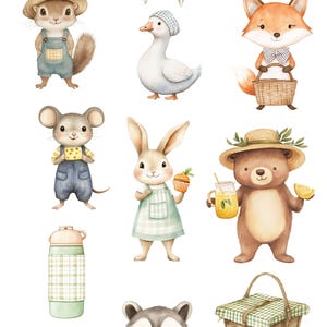 Woodland Picnic Clipart: Watercolor Forest Animals (digital Download ...