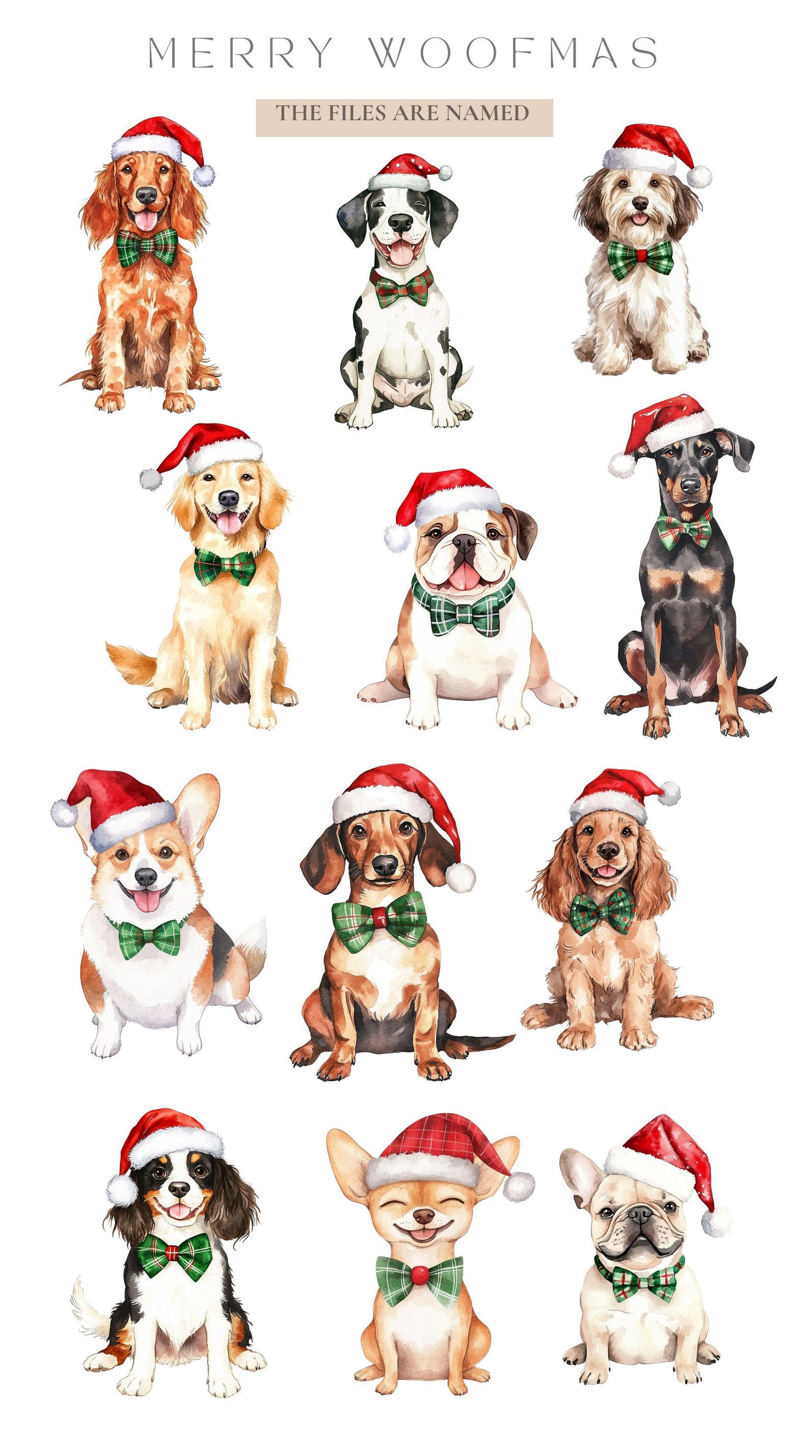 Christmas Dogs Clipart Bundle: Watercolor Puppy Breeds, Xmas Party PNG ...