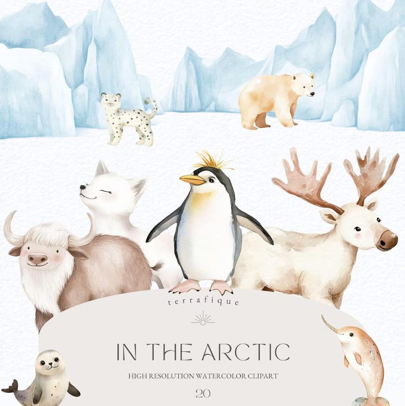 Watercolor Animal Clipart Bundle: Safari, Arctic, Woodland (200 ...