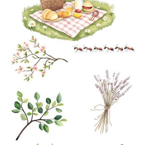 Woodland Picnic Clipart: Watercolor Forest Animals (digital Download ...
