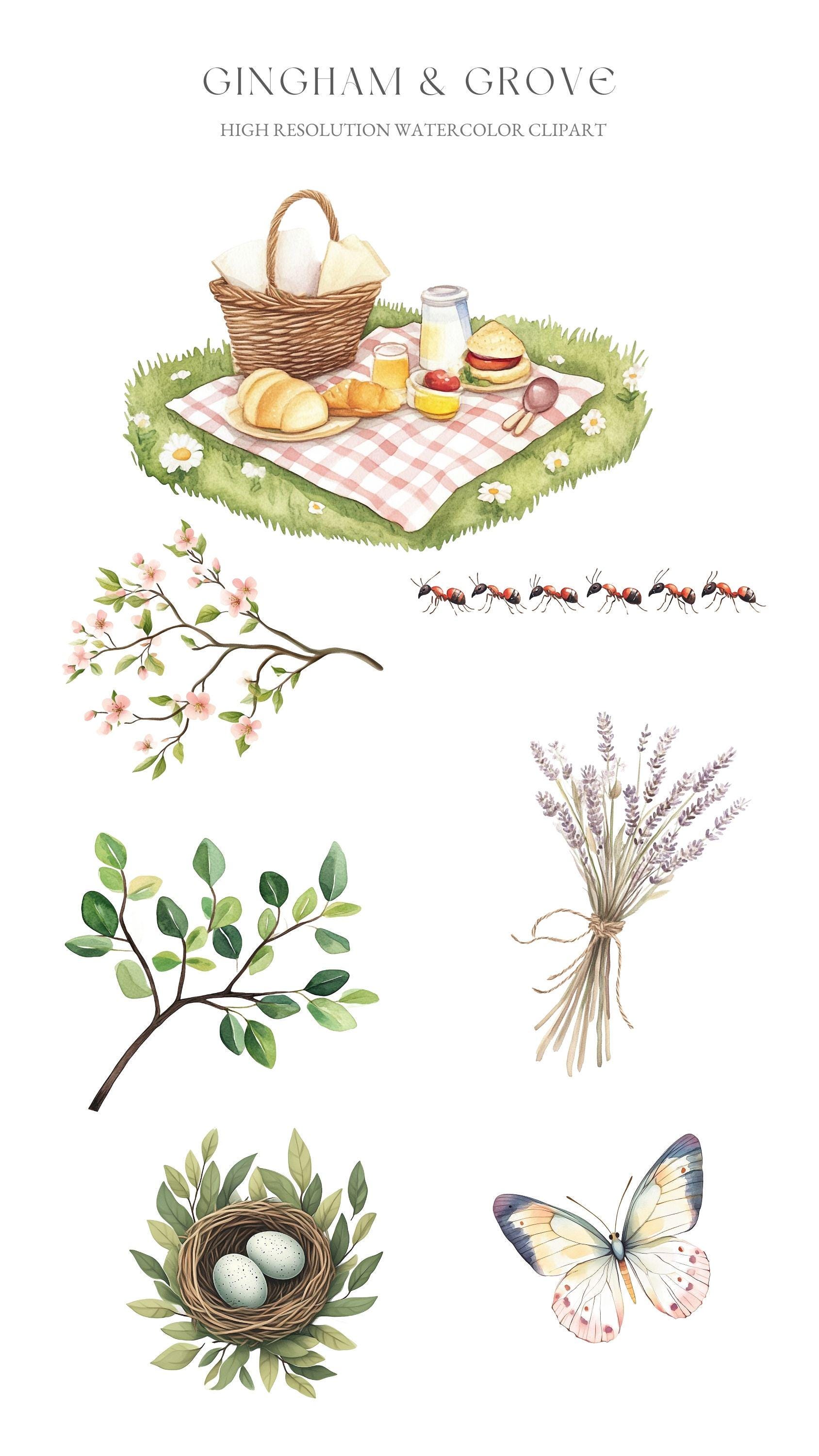 Woodland Picnic Clipart: Watercolor Forest Animals (digital Download ...