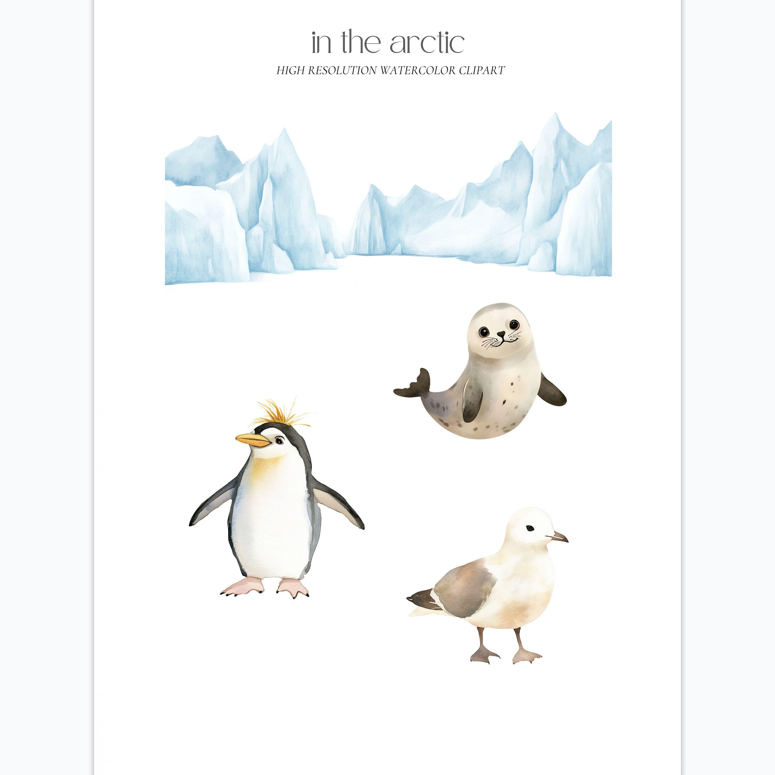 Arctic Animals Watercolor Clipart: Boho Nursery Decor (PNG) - Etsy