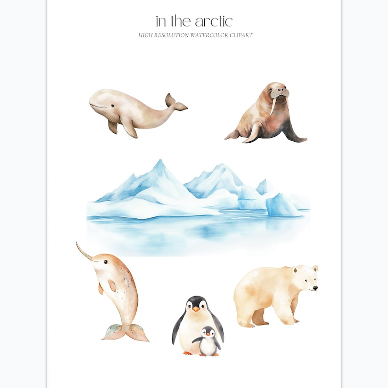 Arctic Animals Watercolor Clipart: Boho Nursery Decor (PNG) - Etsy