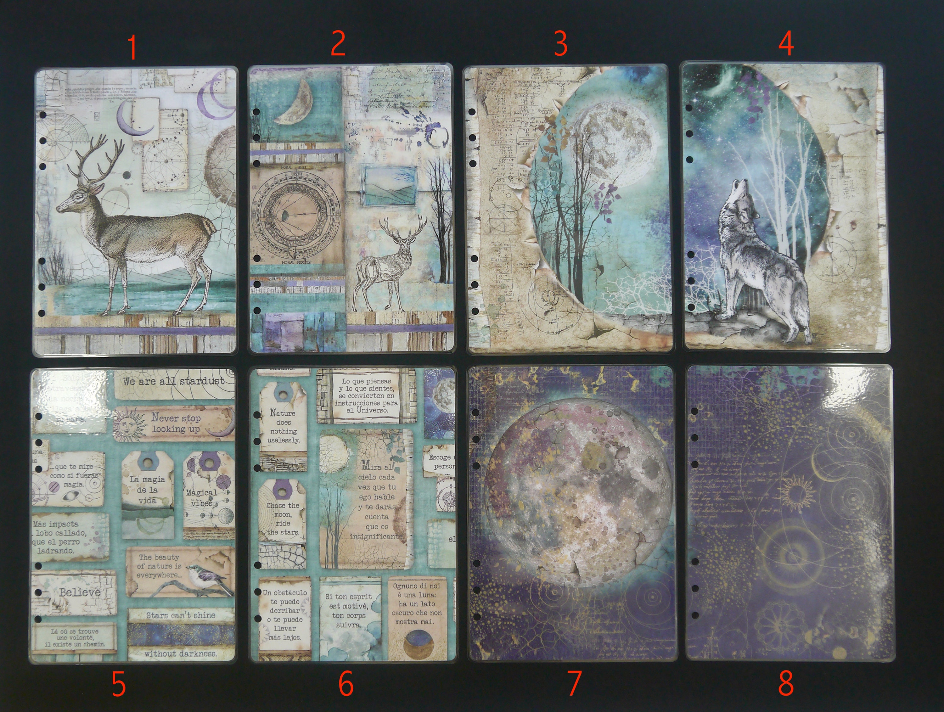 Calendars & Planners Paper & Party Supplies Live in the moment Frosted ...