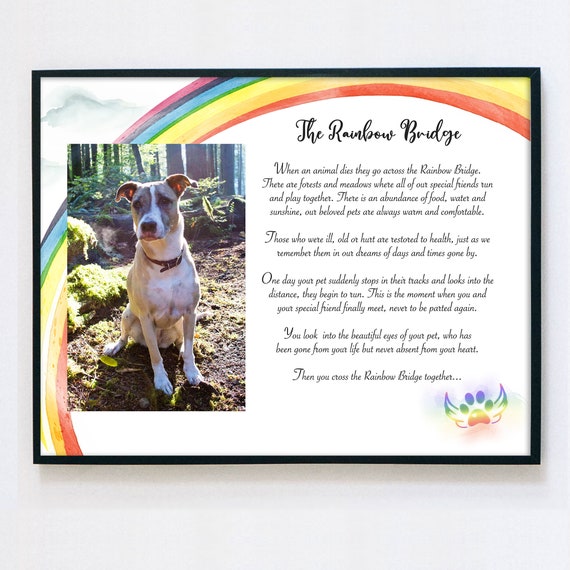 Where Do Dogs Go When They Die Rainbow Bridge