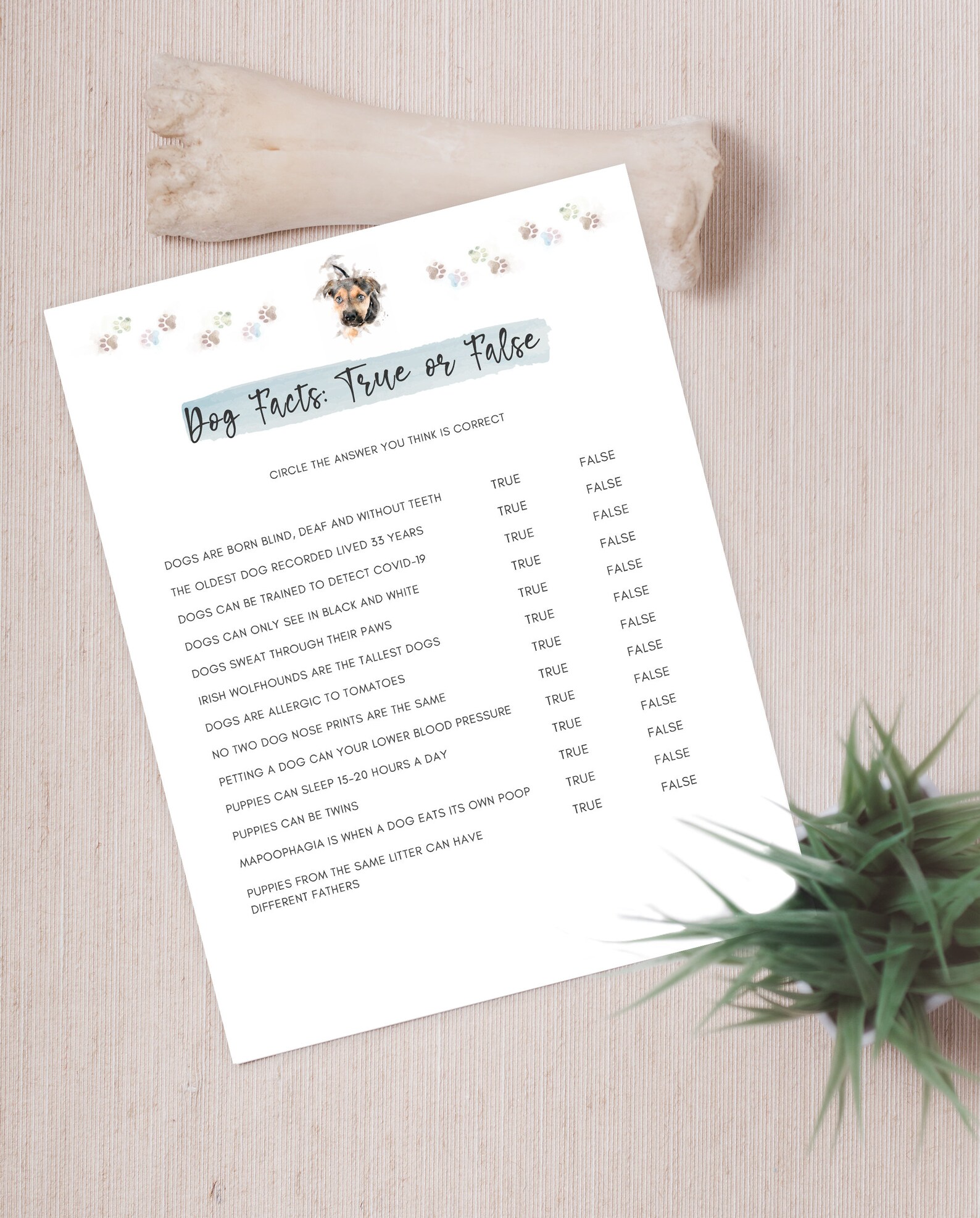 Dog Birthday Party Games, Dog Activity Party Printable, Printable Dog ...