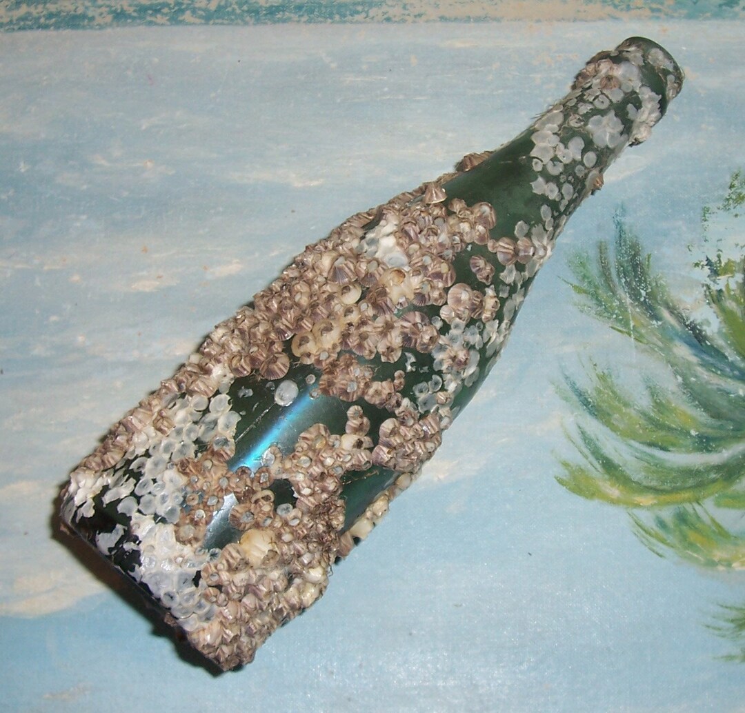 ANTIQUE, Vintage Teal Green OCEAN Found Soda Bottle Encrusted With ...