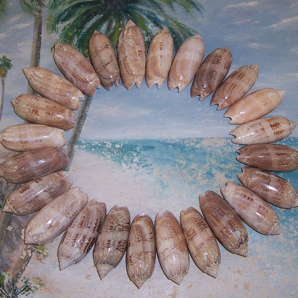 Lettered Olive - Etsy