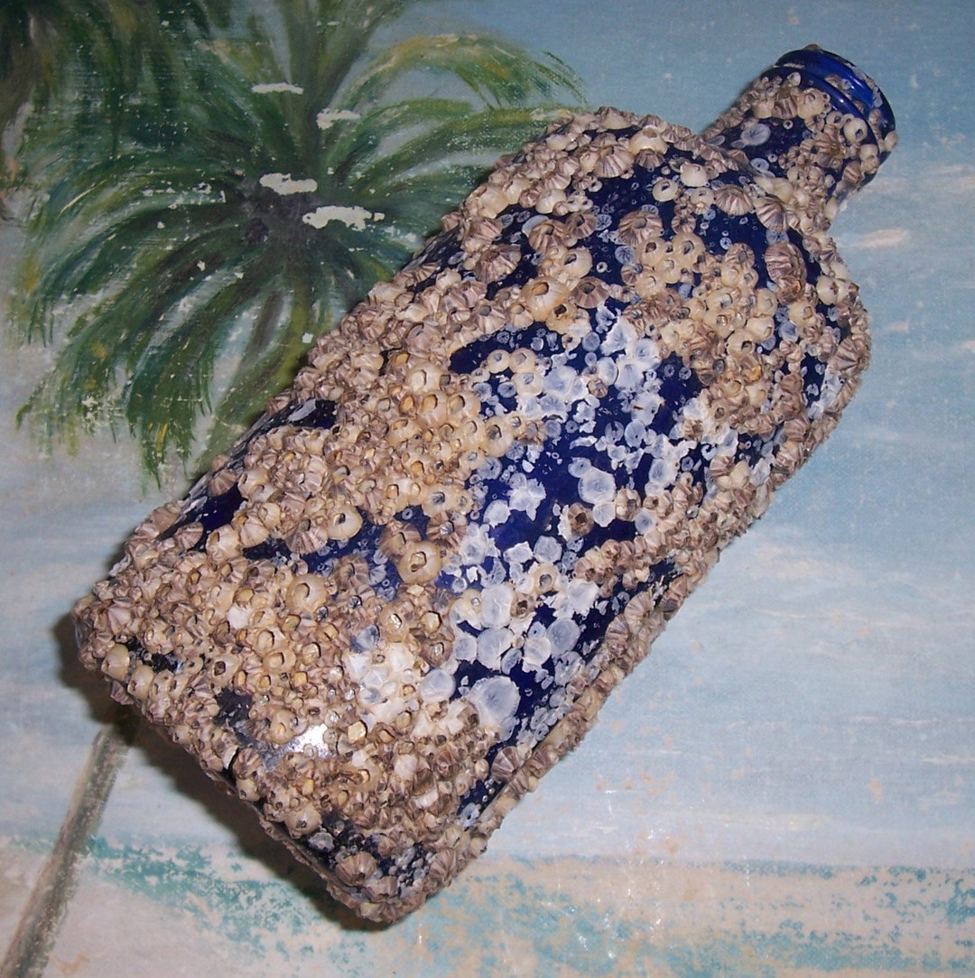8" ANTIQUE, Vintage Cobalt BLUE Ocean Found Bottle Encrusted With ...