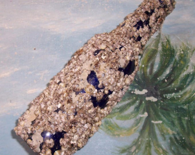 9" VINTAGE Cobalt Blue OCEAN Found Bottle Encrusted With BARNACLES - Etsy