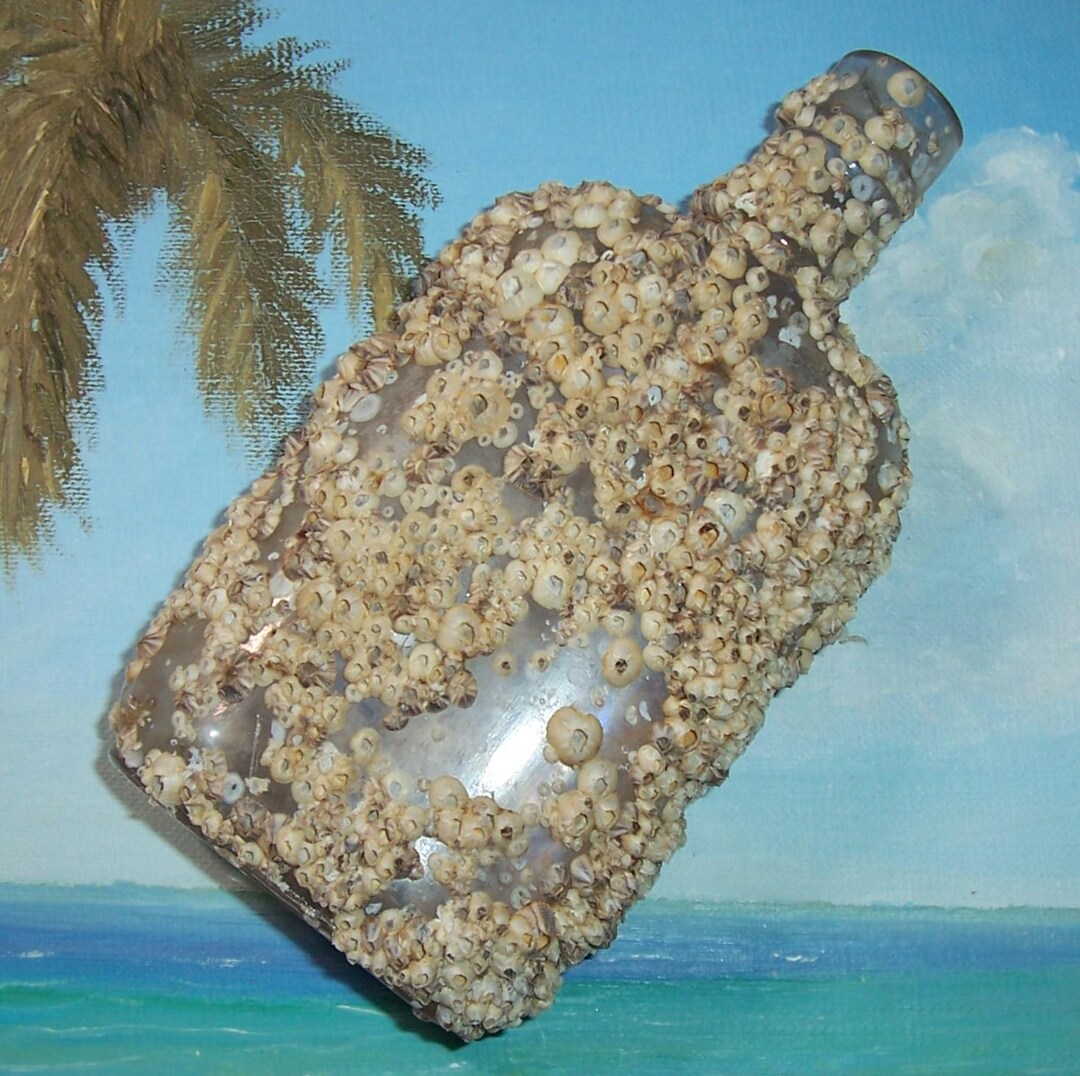 ANTIQUE, Vintage 7" OCEAN Found Sun Purple, Lavender BARNACLE Encrusted ...