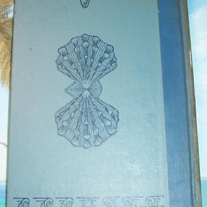 VINTAGE 1952 Seashell Identification Book "florida Marine Shells" - Etsy