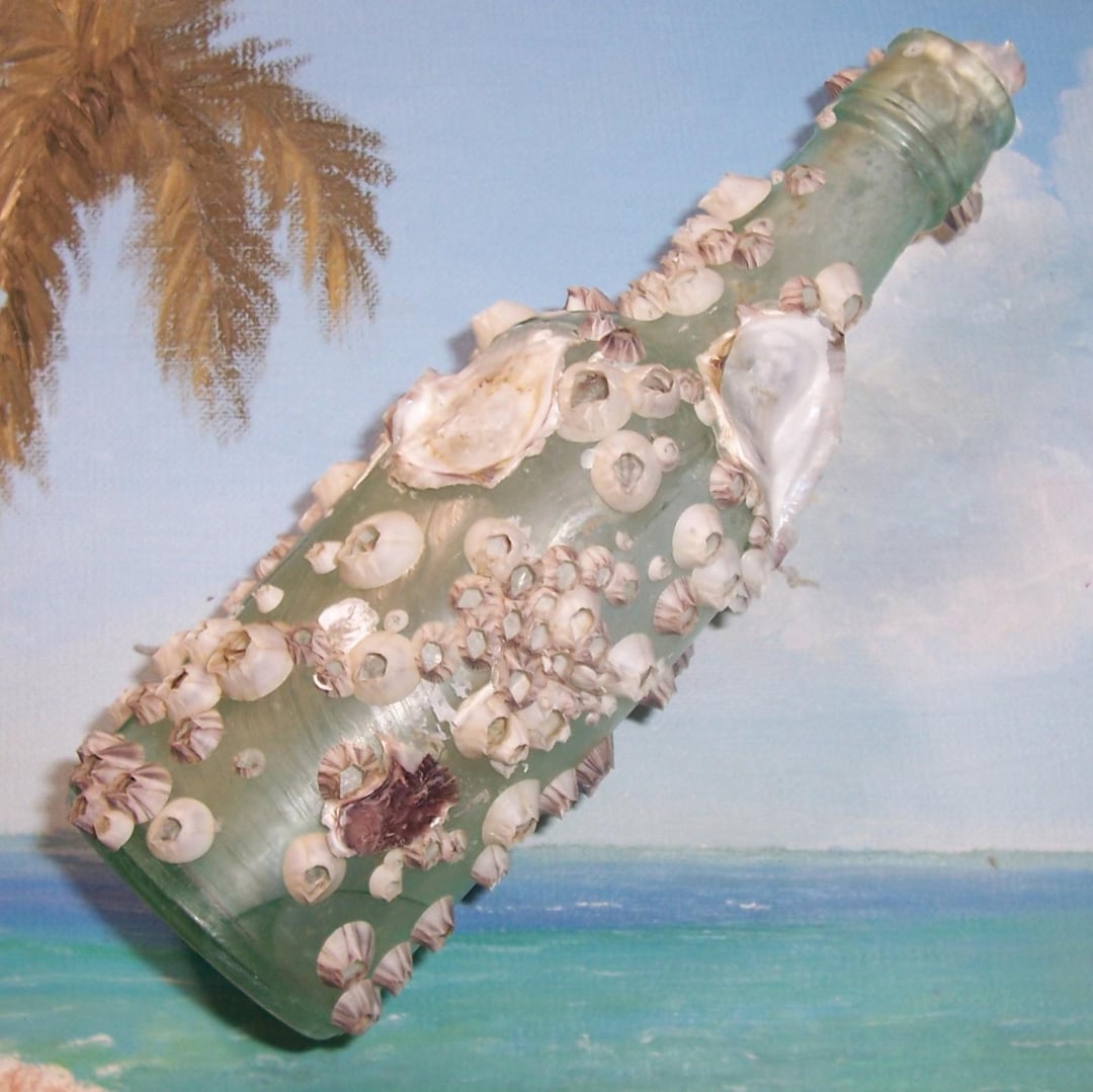 7 1/4" ANTIQUE, Vintage OCEAN Found Aqua BARNACLE & Oyster Shell ...