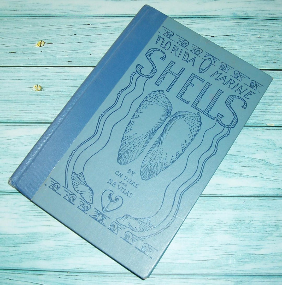 VINTAGE 1952 Seashell Identification Book florida Marine Shells - Etsy