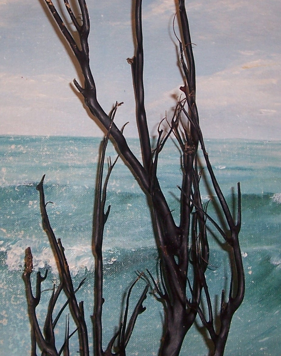 Huge Natural Black Coral GORGONIAN Tree SEA Whip Skeleton From | Etsy