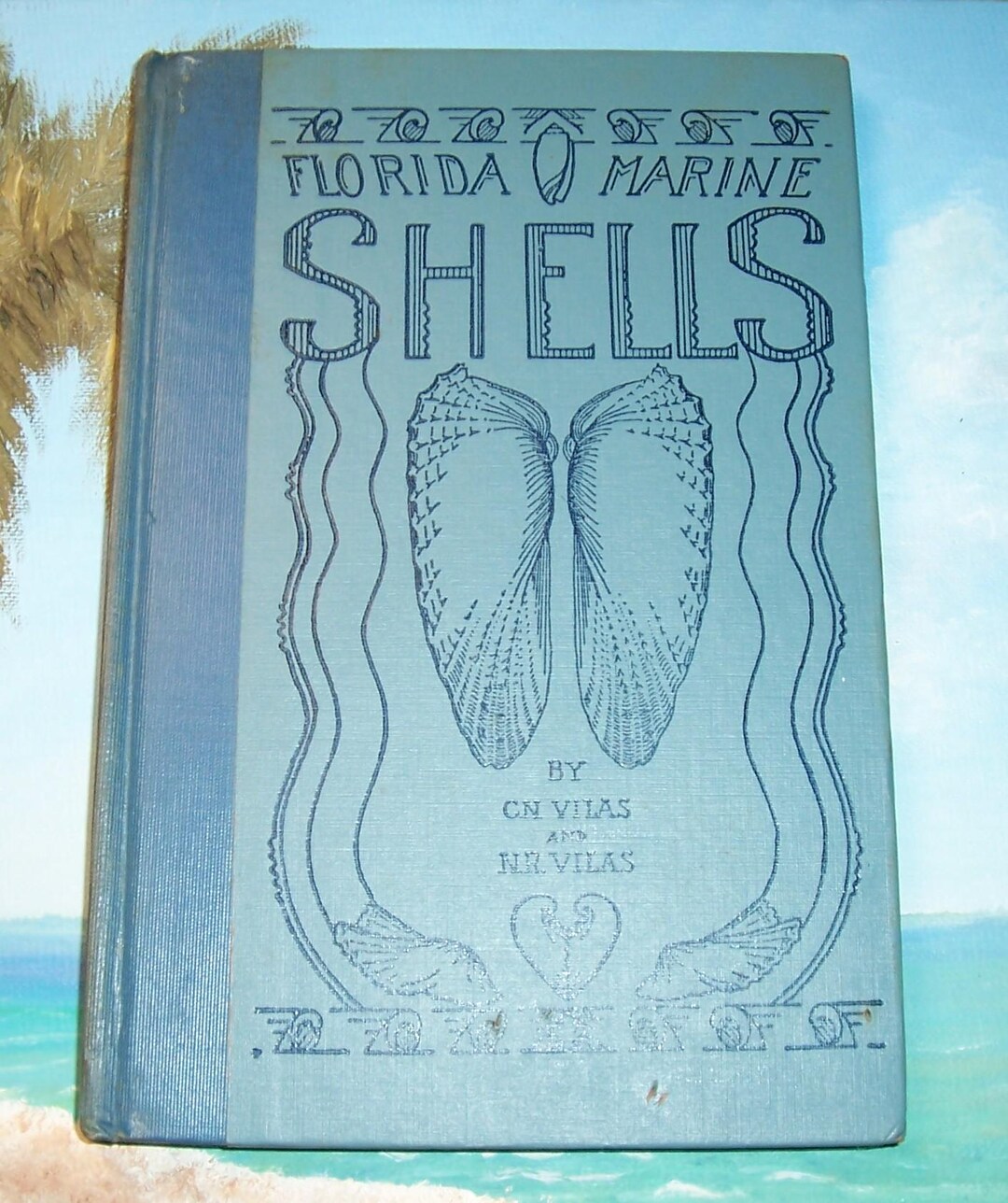 VINTAGE 1952 Seashell Identification Book "florida Marine Shells" - Etsy