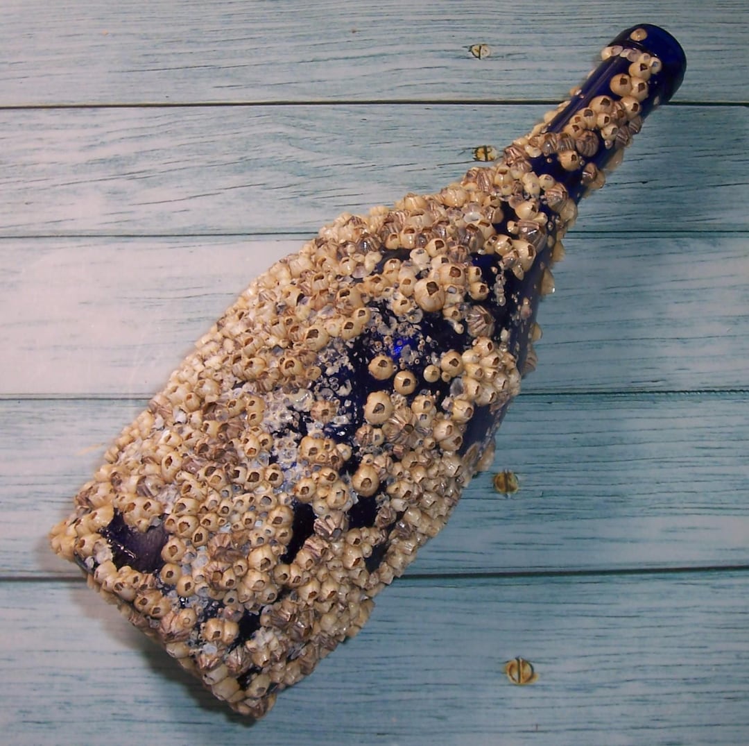Ex-large 12" Vintage Cobalt BLUE Ocean Found Wine BOTTLE Encrusted With ...