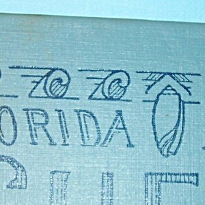 VINTAGE 1952 Seashell Identification Book "florida Marine Shells" - Etsy