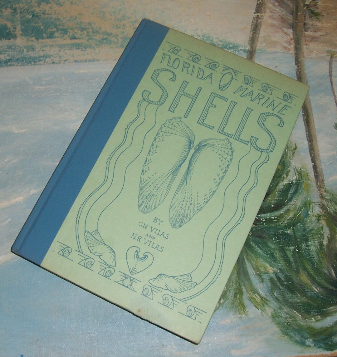 VINTAGE 1945 SEASHELL Identification Book "florida Marine Shells" - Etsy