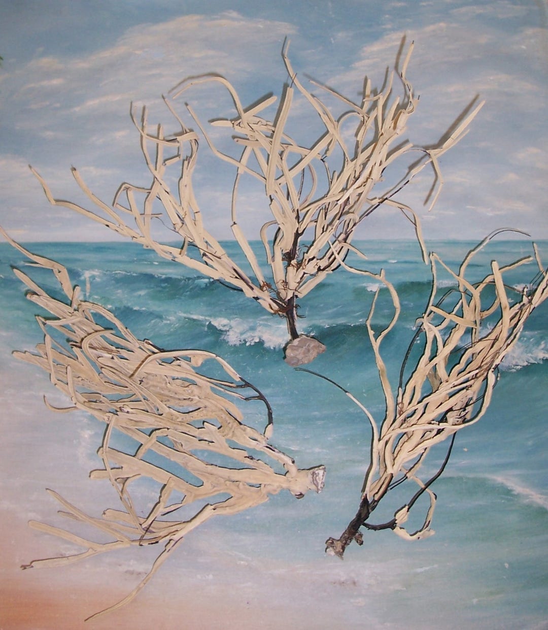 Lot/3 Medium Spiky Cream Yellow Gorgonian SEA WHIP Ribbon - Etsy