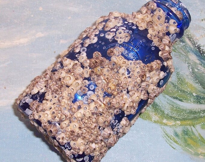 Petite ANTIQUE, Vintage Cobalt BLUE Ocean Found Bottle Encrusted With ...