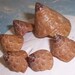 Set of 6 Calliostoma Jujubinum JUJUBE Top Shell, Seashell JB - Etsy