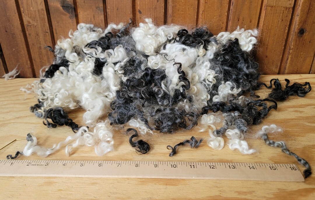 2 Oz Wool Lock Sampler Natural Colors for Needle Felting/small Doll ...