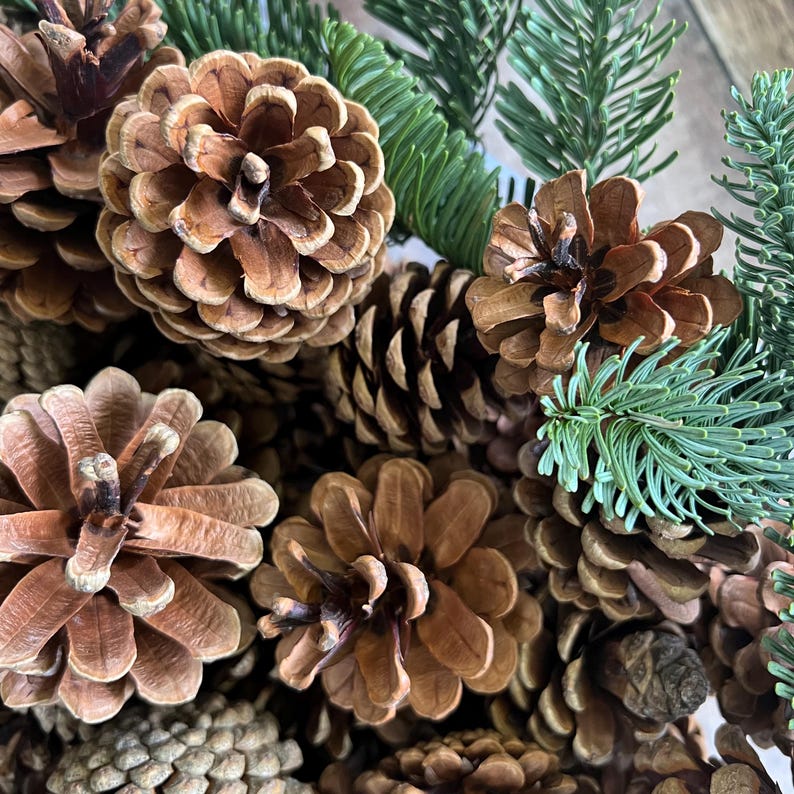 Natural Pine Cones: Rustic DIY Craft & Holiday Decor - Etsy UK
