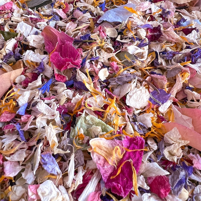 Light Rainbow Flower Petal Confetti: Natural Biodegradable Wedding Toss ...