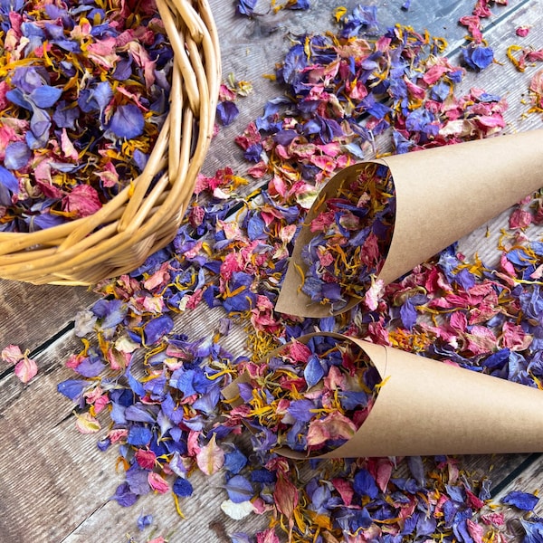 Eco Friendly Confetti - Etsy