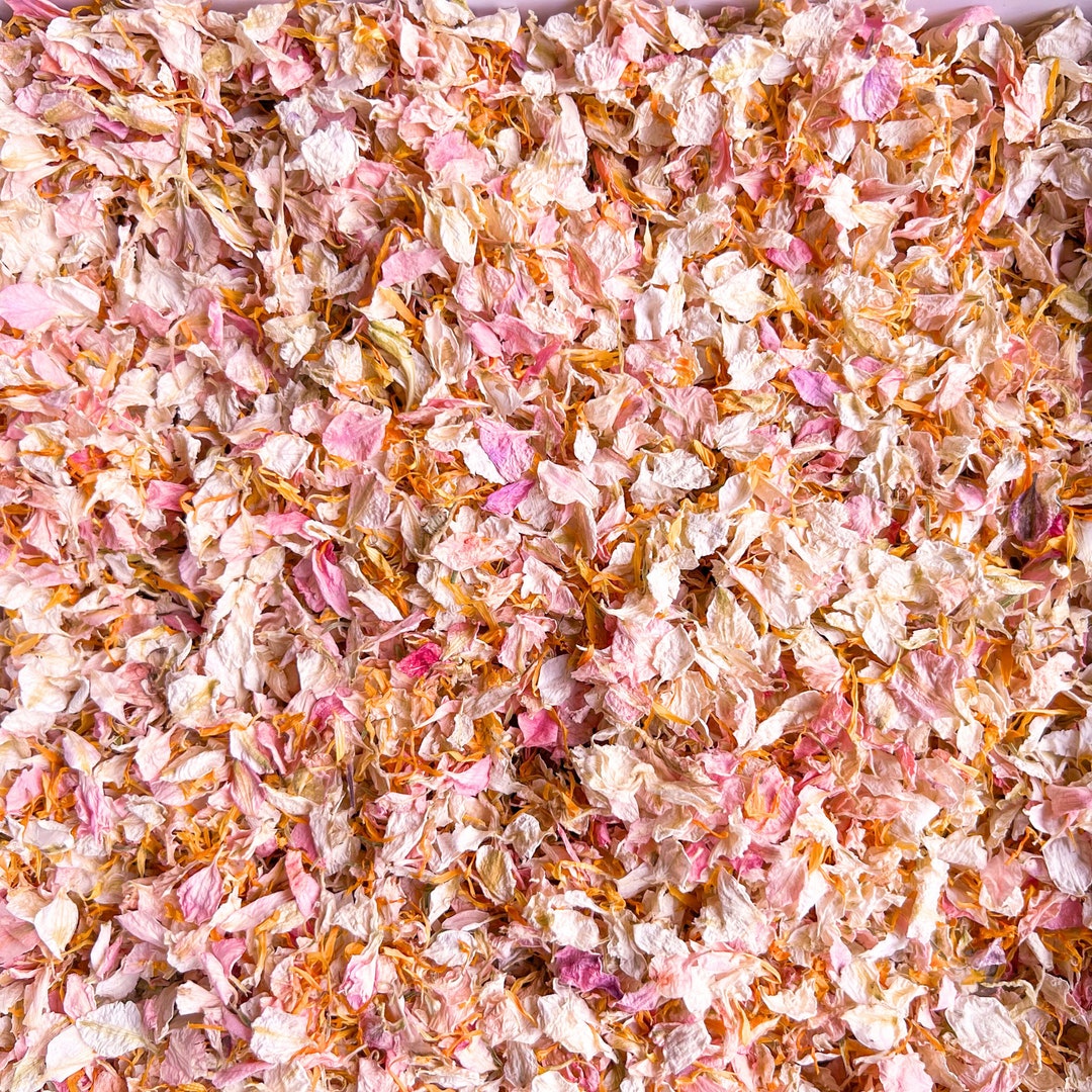 Summer Salsa Dried Flower Confetti: Biodegradable Wedding Petal Mix - Etsy