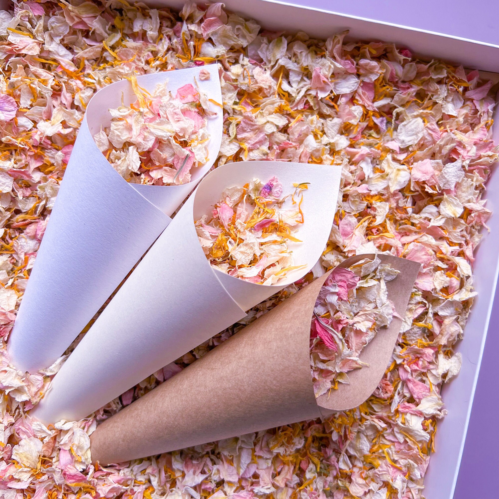 Summer Salsa Dried Flower Confetti: Biodegradable Wedding Petal Mix - Etsy