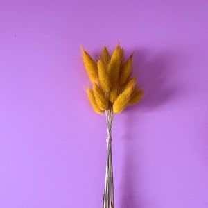 Colourful Lagurus bunny Tail Dried Flower Bouquet Blue, Purple ...